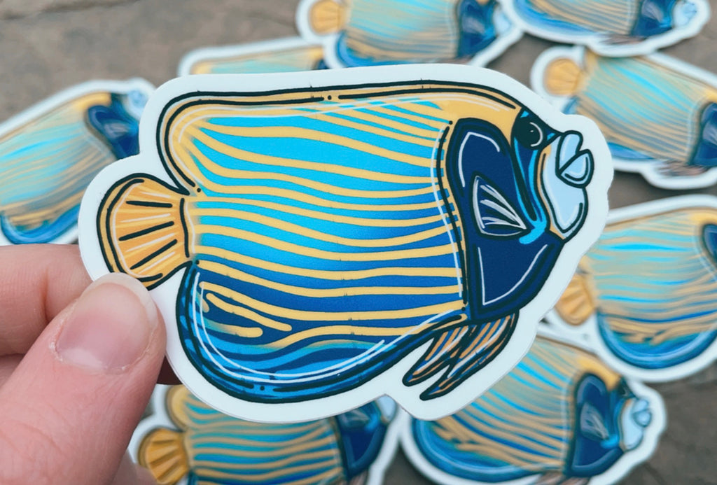 Emperor Angelfish Sticker – ArtSea Acrylics