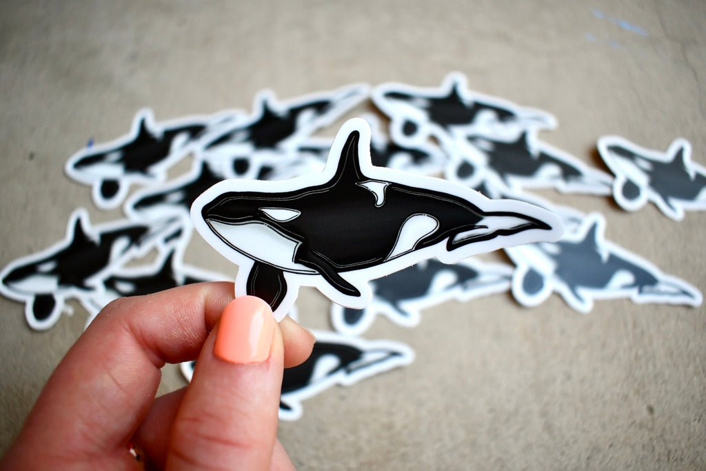 Orca Sticker – ArtSea Acrylics